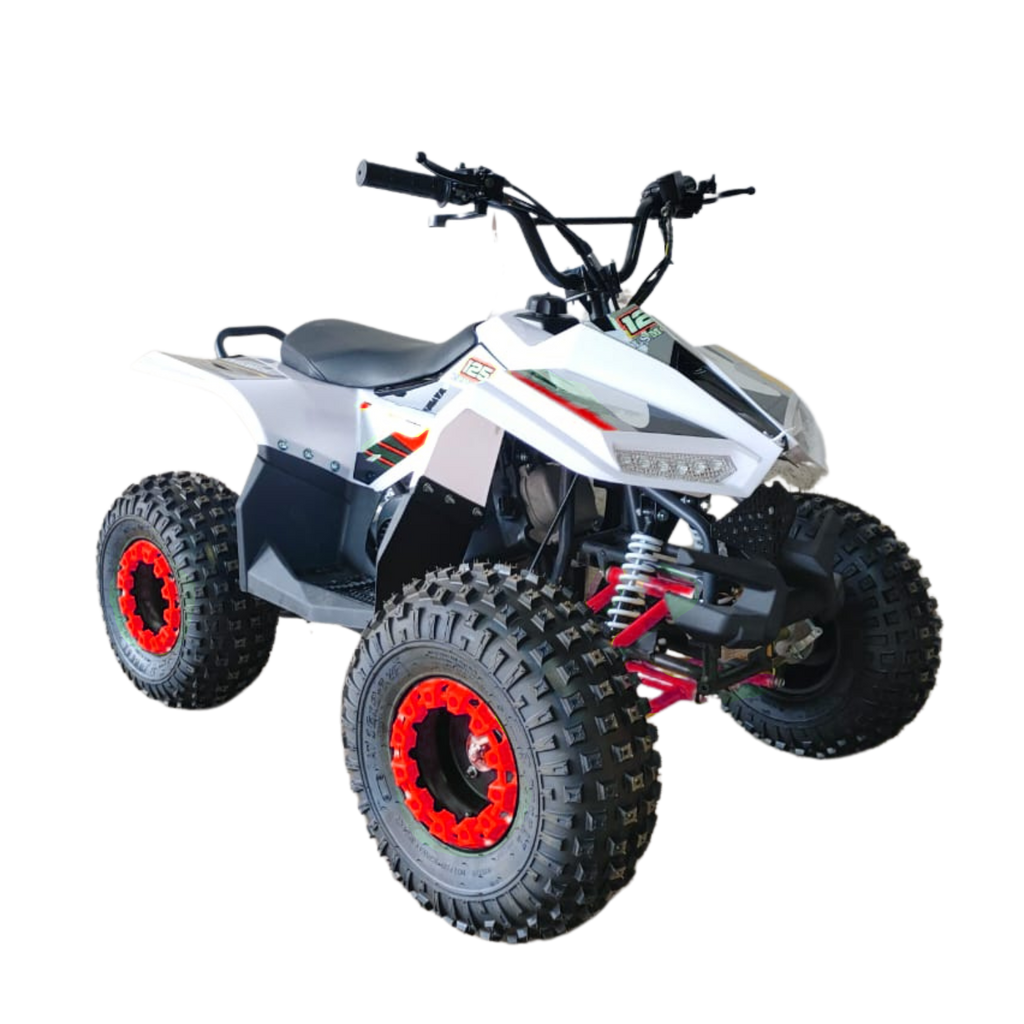 ATV Quad Bike off Road Rex Megawheels 80 CC Fully Automatic – Rafplay